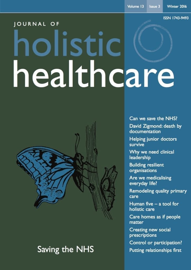 How can a holistic perspective benefit practitioners, patients, and the ...