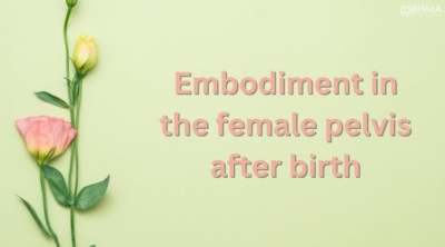 Embodiment in the female pelvis after birth - British Association for ...